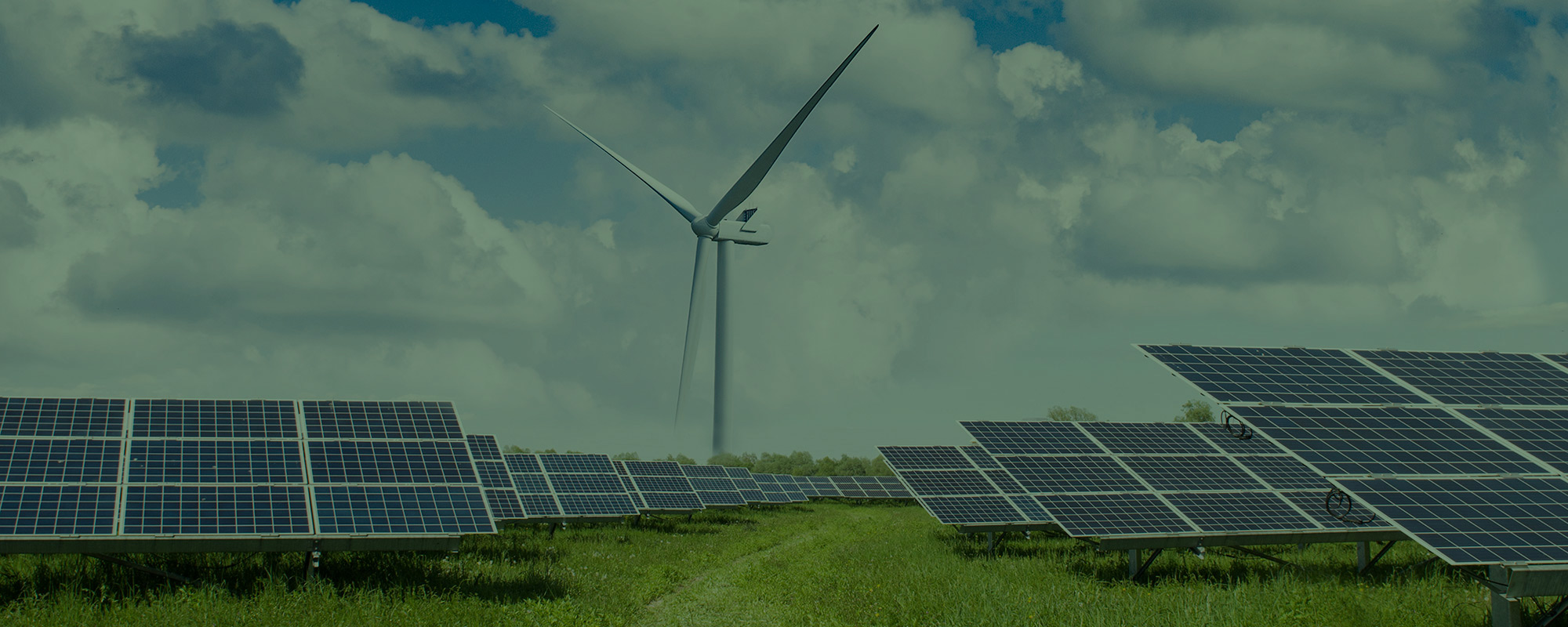 Integral Energy | Net Zero Consultants | ESOS